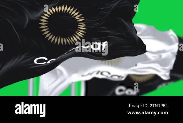 Concacaf flag Stock Videos & Footage - HD and 4K Video Clips - Alamy