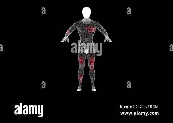 The spread of temperature and pain through the human body. Scanning the ...