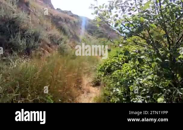 Eco tourism ecotourism Stock Videos & Footage - HD and 4K Video Clips ...