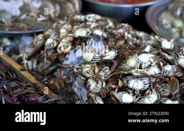 Fresh crab with egg sell in Thailand wet market seafood on ice with sauce Stock Video Footage ...