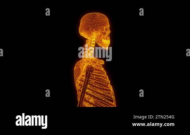 Human Skeleton Wireframe Hologram in Motion. Nice 3D Rendering Stock ...