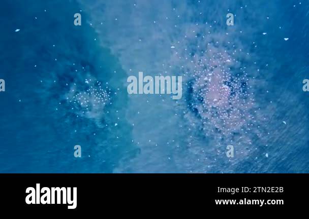 Discharge sewage in shallow sea Stock Videos & Footage - HD and 4K ...