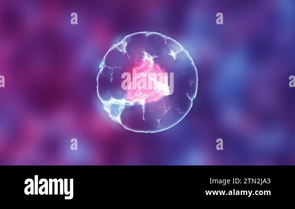 Cell dividing. Microbiology. 3D animation Stock Video Footage - Alamy