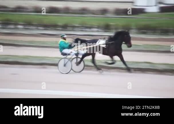 Trot track Stock Videos & Footage - HD and 4K Video Clips - Alamy