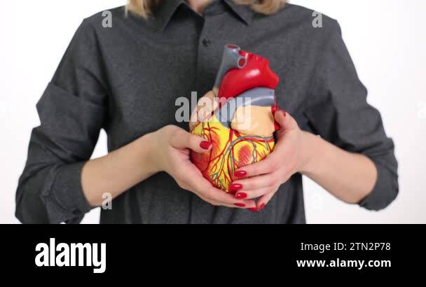 Model of open human heart Stock Videos & Footage - HD and 4K Video ...