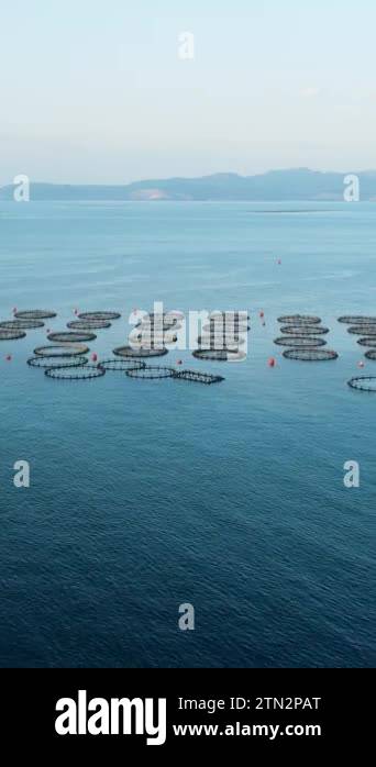 Offshore sea aquaculture cages fish farm, seafood industry. aerial ...