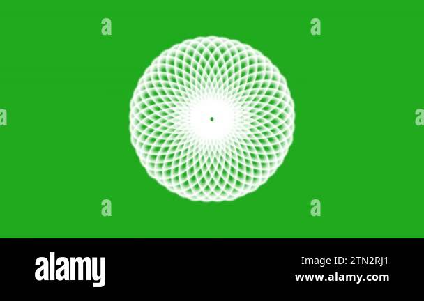 Animated White Flower Rotating effect with green screen background ...
