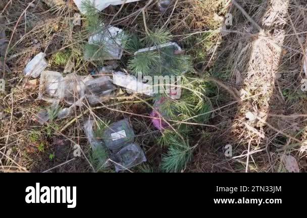 Pile of garbage in coniferous forest - environment problems. Used ...