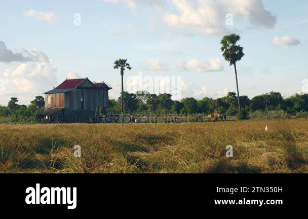Loaded ox cart Stock Videos & Footage - HD and 4K Video Clips - Alamy
