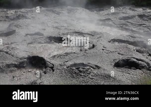 Boiling mud new zealand Stock Videos & Footage - HD and 4K Video Clips ...