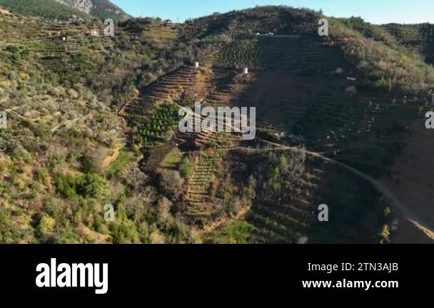 Uncover a hillside oasis as our cinematic drone reveals the serene ...