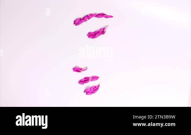 Fragile face Stock Videos & Footage - HD and 4K Video Clips - Alamy