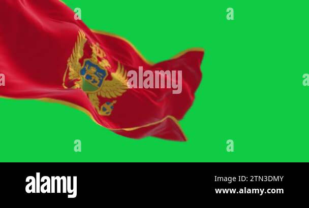 Montenegro flag waving on green screen. Red with a golden border ...