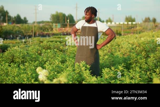 Tired African american male grower, garderner standing with hands on ...