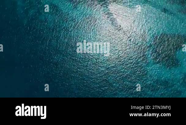 Deep blue sea with sunlight reflect the water and corals. Tropical sea ...