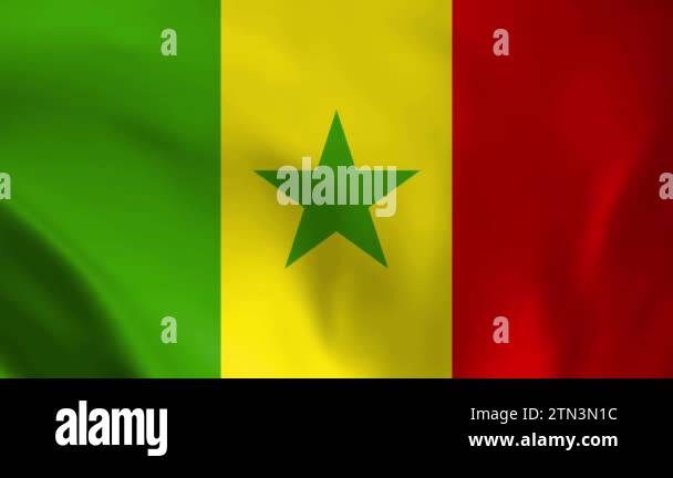 Senegal National Flag. 4K seamless loop animation of the Senegal flag ...
