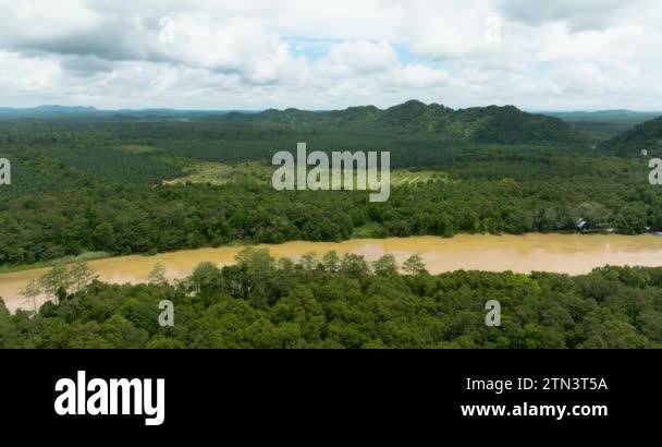 Tropical lowland ecosystem Stock Videos & Footage - HD and 4K Video ...