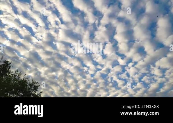 Undulatus clouds Stock Videos & Footage - HD and 4K Video Clips - Alamy
