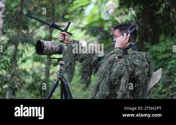 Radio telemetry study Stock Videos & Footage - HD and 4K Video Clips ...