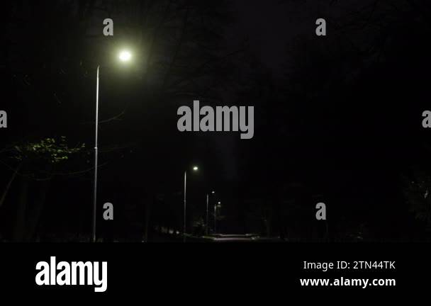 Lighted pathway, lamp row, street glow. Row lit street lamps ...