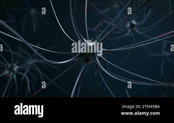 Transmission of a nerve impulse within the human body. 3d animation ...