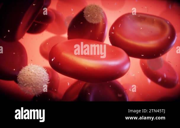 Blood cell inside human body. Nanomedecine concept. Realistic 4k ...