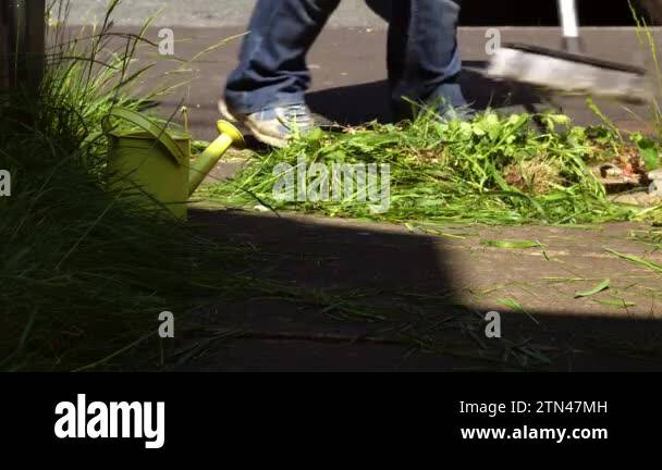 Waste ground weeds Stock Videos & Footage - HD and 4K Video Clips - Alamy