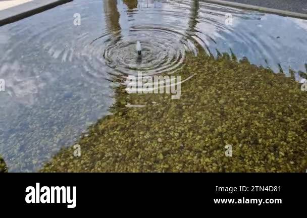calm surface of a pond with a fountain making a calm effect of water ...