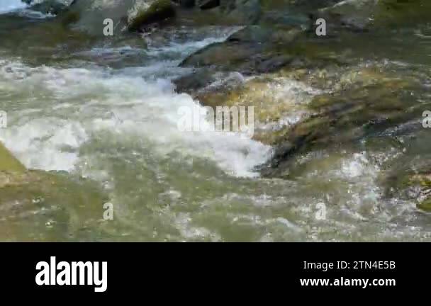 Close-up video of a mountain river flowing in a bountiful sparkling ...