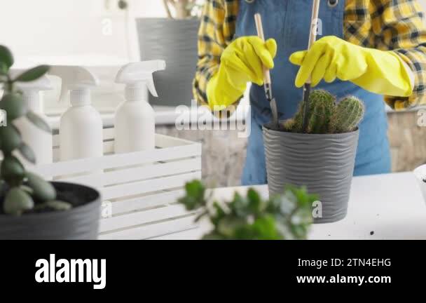 Rake types Stock Videos & Footage - HD and 4K Video Clips - Alamy