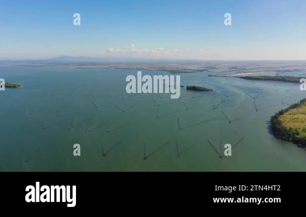 Aerial drone of Fish farm with cages for fish and shrimp. Fish ponds ...