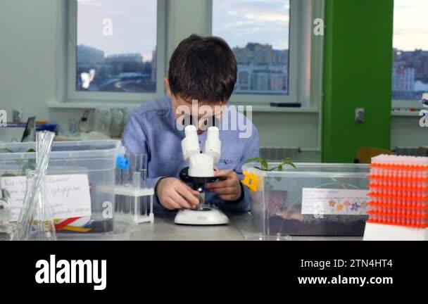 4K. Schoolboy studying science in biology, chemistry class using microscope Stock Video Footage ...