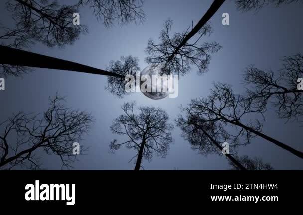 Scary feast Stock Videos & Footage - HD and 4K Video Clips - Alamy
