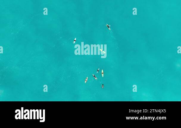 Overhead view of surfers on surfboards in calm waters of blue ocean ...