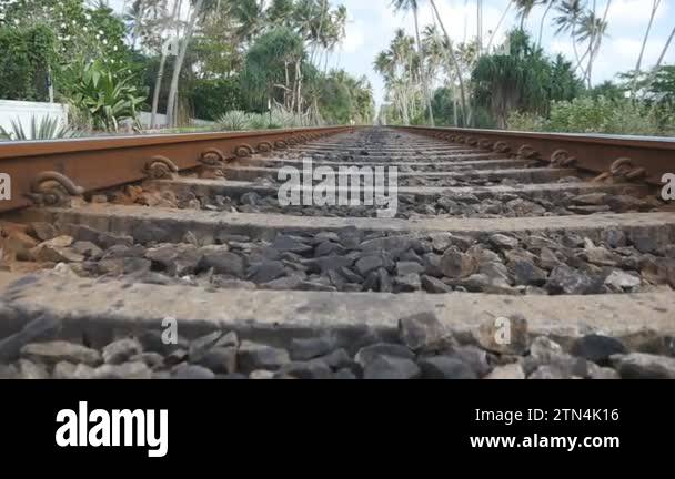 Camera move forward along the railway with exotic tropical nature at ...