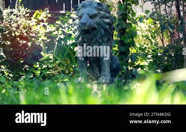 Lion garden statue Stock Videos & Footage - HD and 4K Video Clips - Alamy