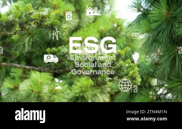 ESG environmental social governance investment business concept. ESG ...