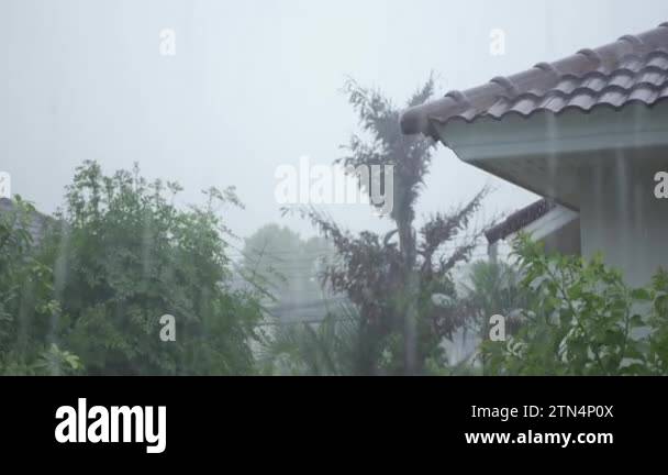 It rains very heavily in windy weather. many raindrops on trees under ...