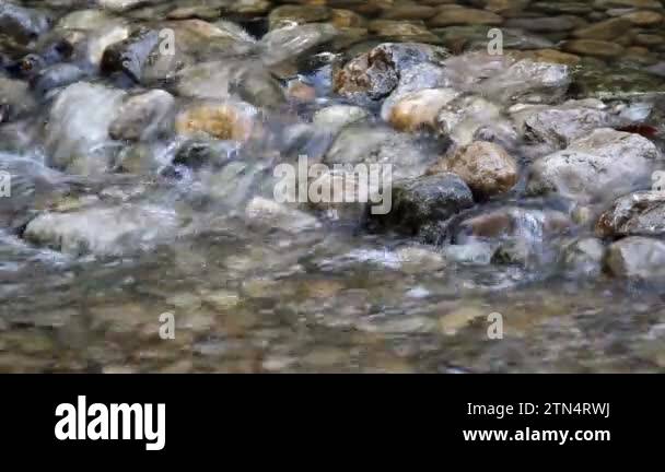 Stream fresh clear water Stock Videos & Footage - HD and 4K Video Clips ...