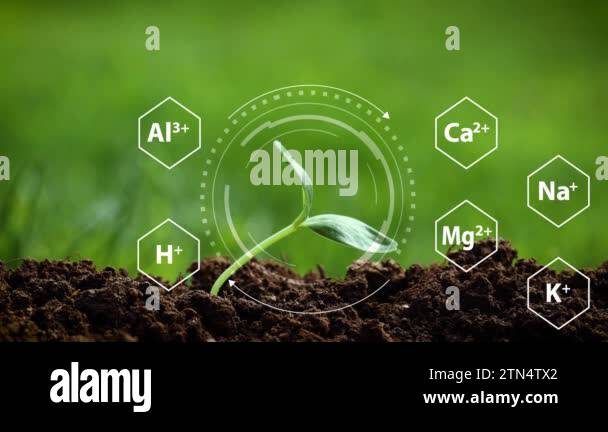 Symbols of chemical elements with signs of their electric charge placed ...