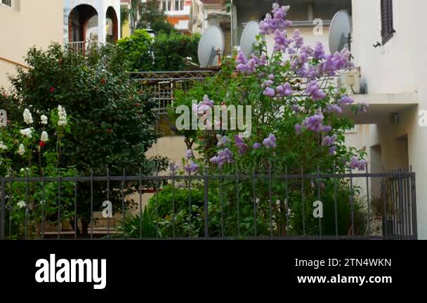 White villa purple flowers Stock Videos & Footage - HD and 4K Video ...
