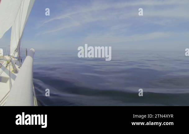 Wind still Stock Videos & Footage - HD and 4K Video Clips - Alamy