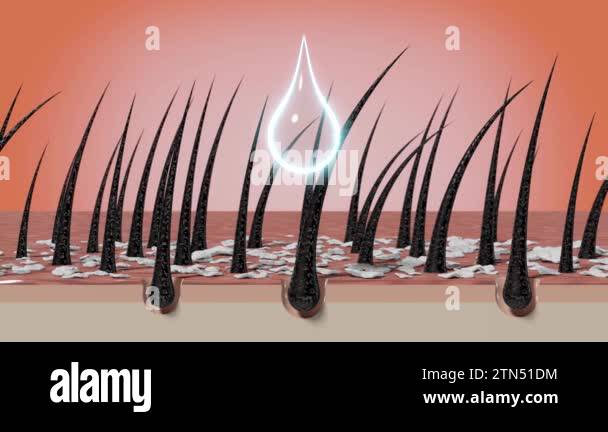 Shampoo or serum nourish hair follicles and removes dandruff - hair ...