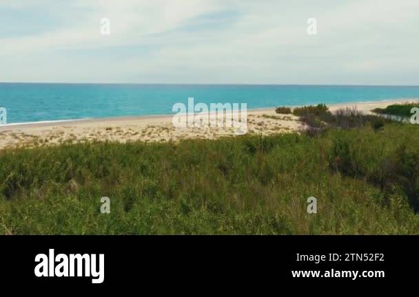 Italian flora Stock Videos & Footage - HD and 4K Video Clips - Alamy