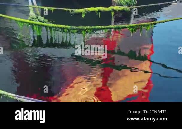 Black algae and blue seawater Stock Videos & Footage - HD and 4K Video ...