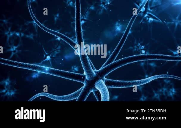 Connection neuron Stock Videos & Footage - HD and 4K Video Clips - Alamy