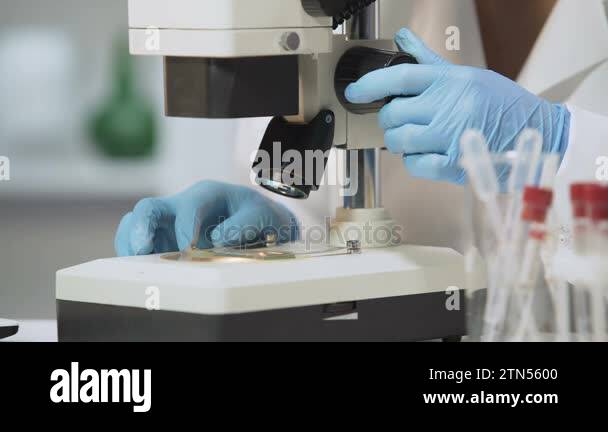 Female bacteriologist using microscope for microbiological analysis ...