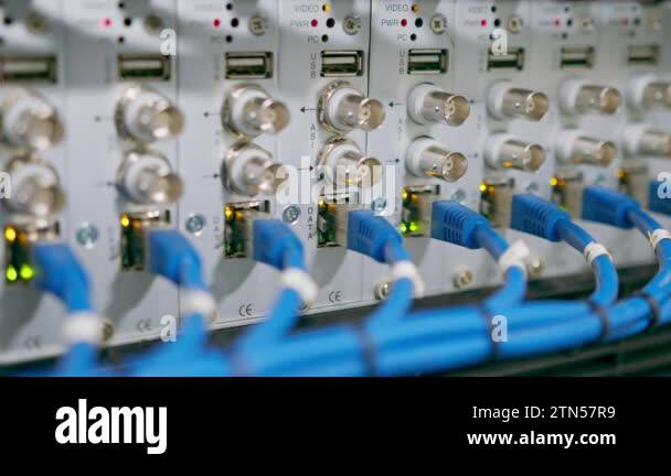 a bunch of patch network cables sorted in a rack cabinet leading from a ...