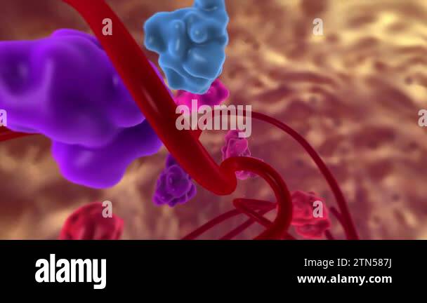 Bacterial enzymes Stock Videos & Footage - HD and 4K Video Clips - Alamy