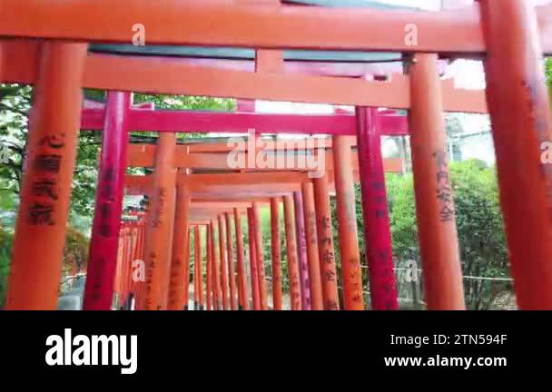 January 1,2020.Tokyo,Japan.view while walking under many torii red ...